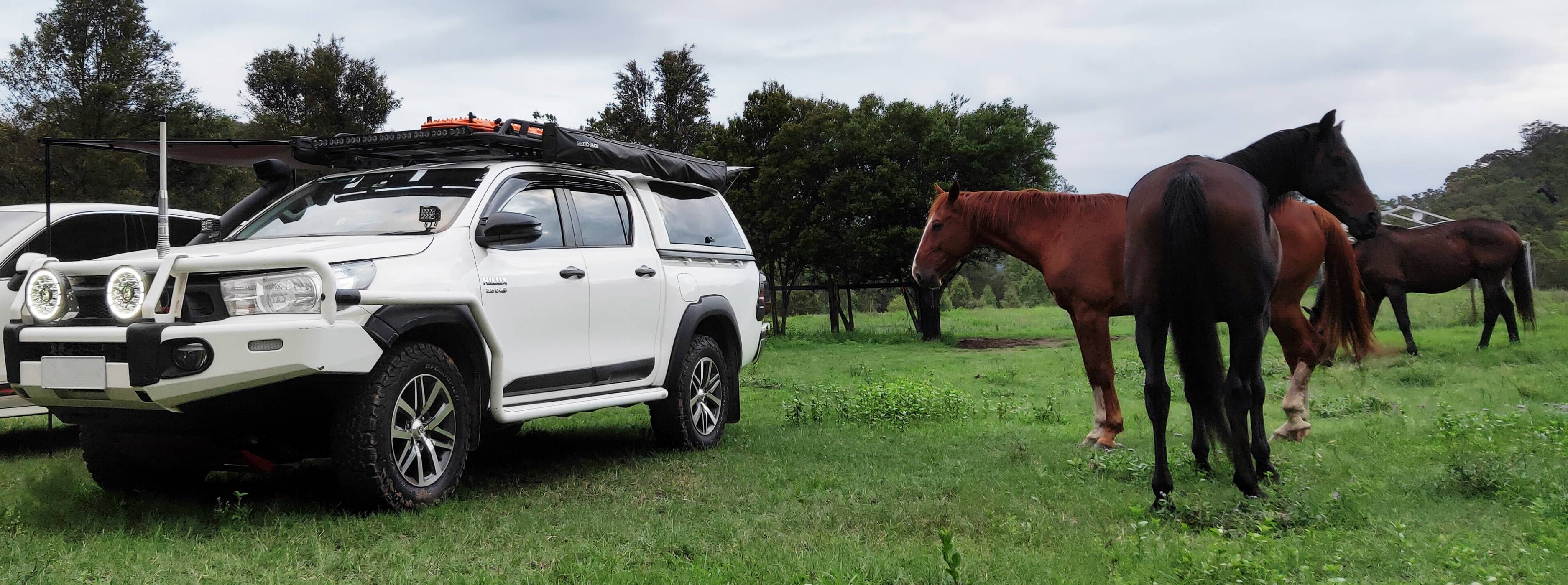 Ute Sports Bar, Rack & 4x4 Roll Bars | Bossco 4x4 Accessories Sports ...